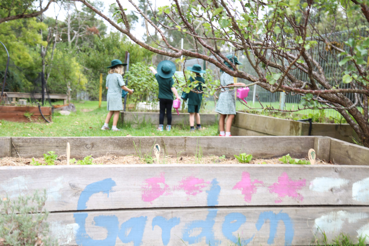 Facilities - Selby Primary School