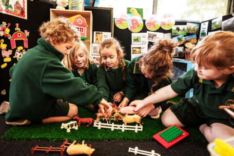 Enrolments - Selby Primary School